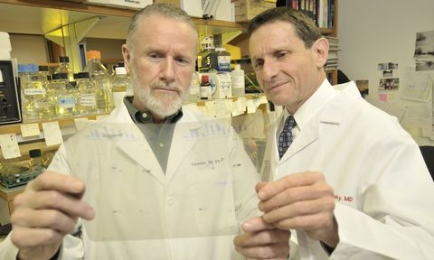 NIH awards $6.9M to UChicago Diabetes Research and Training Center ...