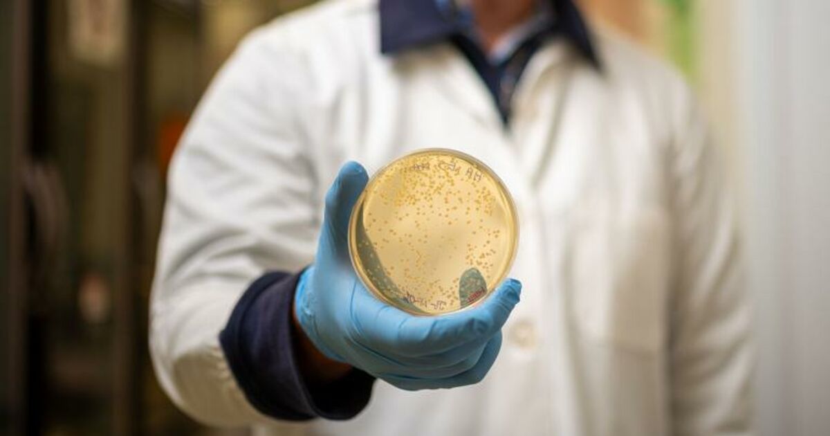 Inside The Light Lab: Mapping The Microbiome | Metabolism | The ...